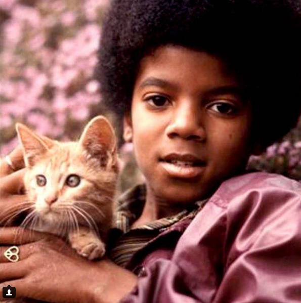 Little Michael Jackson 1971