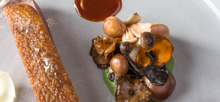 Peppered duck with vanilla mash, pea & wild mushroom ragout
